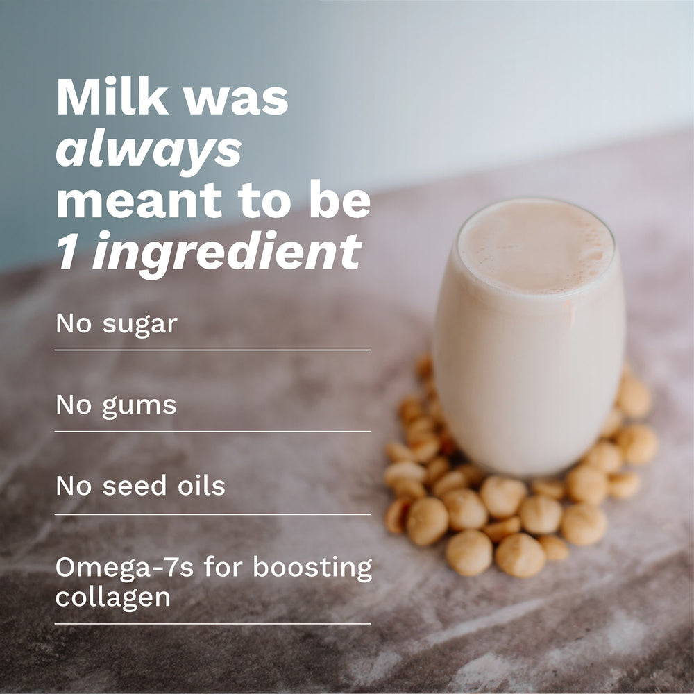 100% Macadamia Milk (12 Sachets) – House of Macadamias