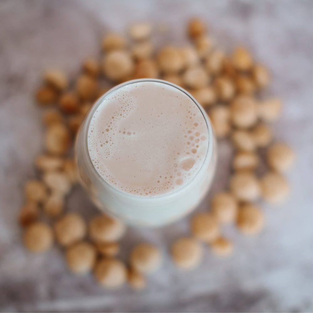 100% Macadamia Milk (12 Sachets) – House of Macadamias