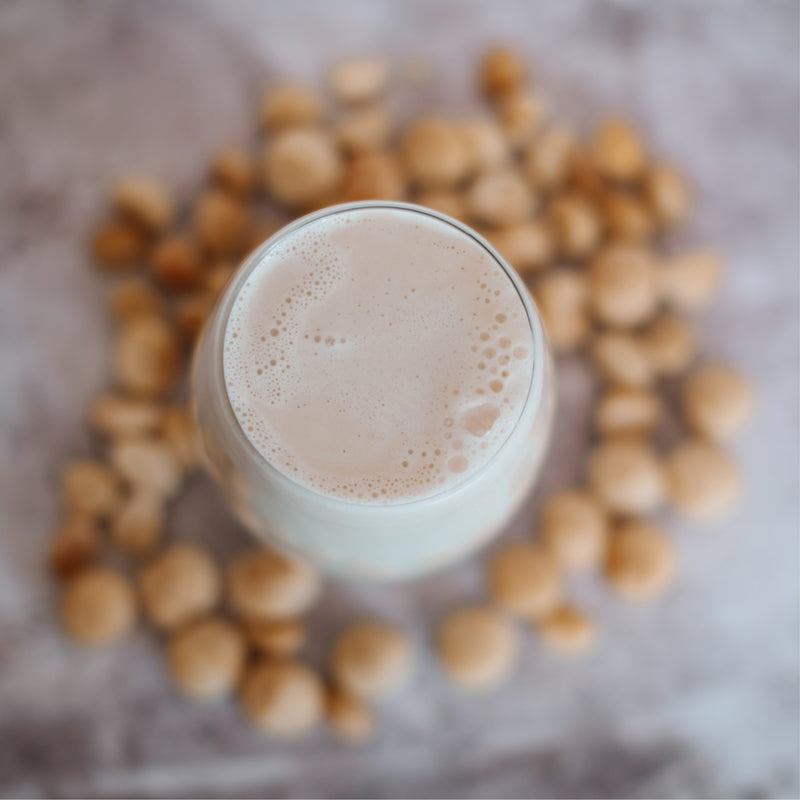 100% Macadamia Milk (12 Sachets) – House of Macadamias